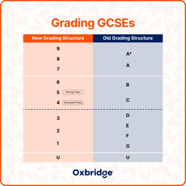 GCSE Results Day 2022: What are my next steps? | Oxbridge